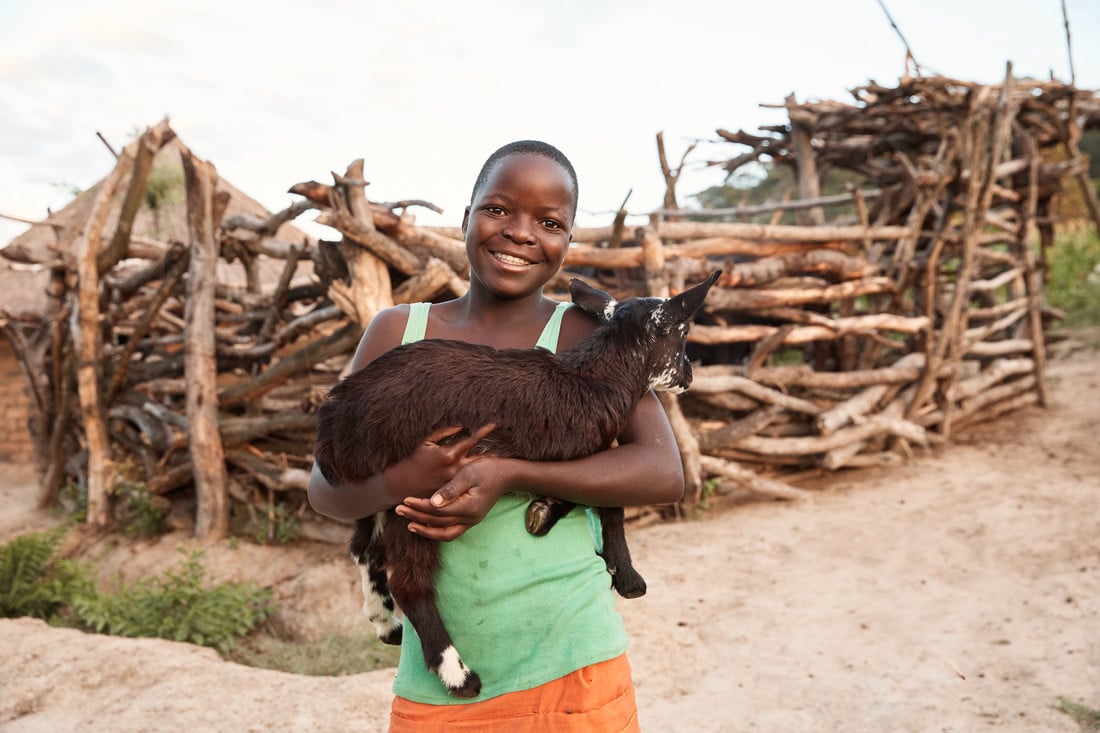 Contact us | Act for Peace in the world